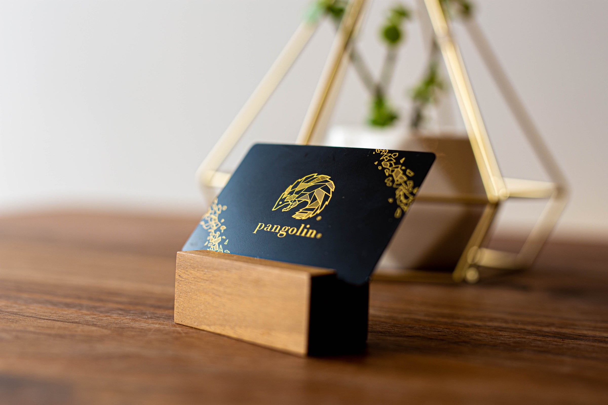 Home | Pangolin Cafe
